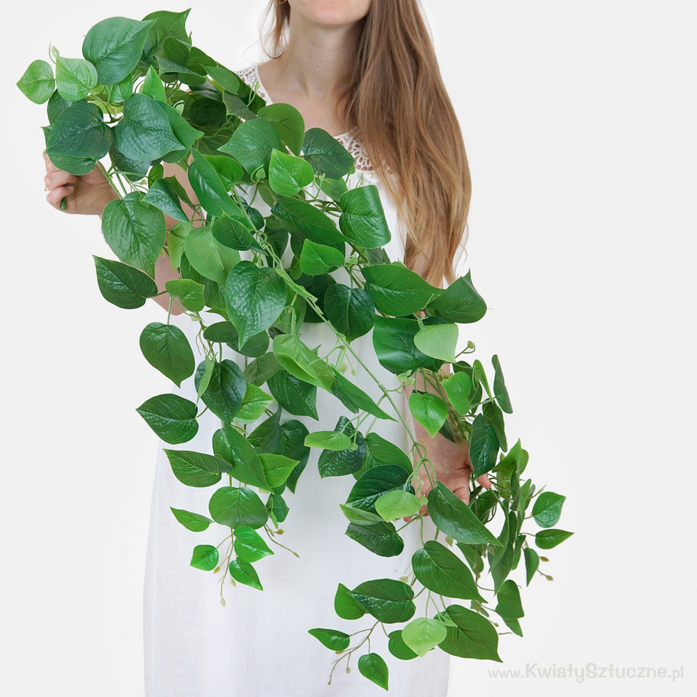 Trailing Pothos B054 - Artificial creepers
