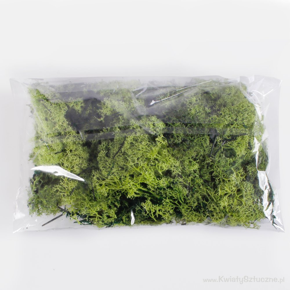 Mech chrobotek 100 g A713 - Natural Reindeer Moss